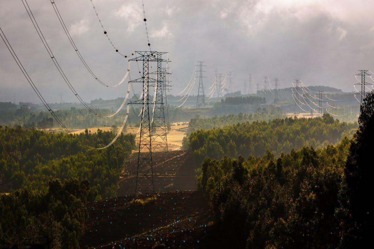 REN Strategy and Purpose | Commitment to energy transition