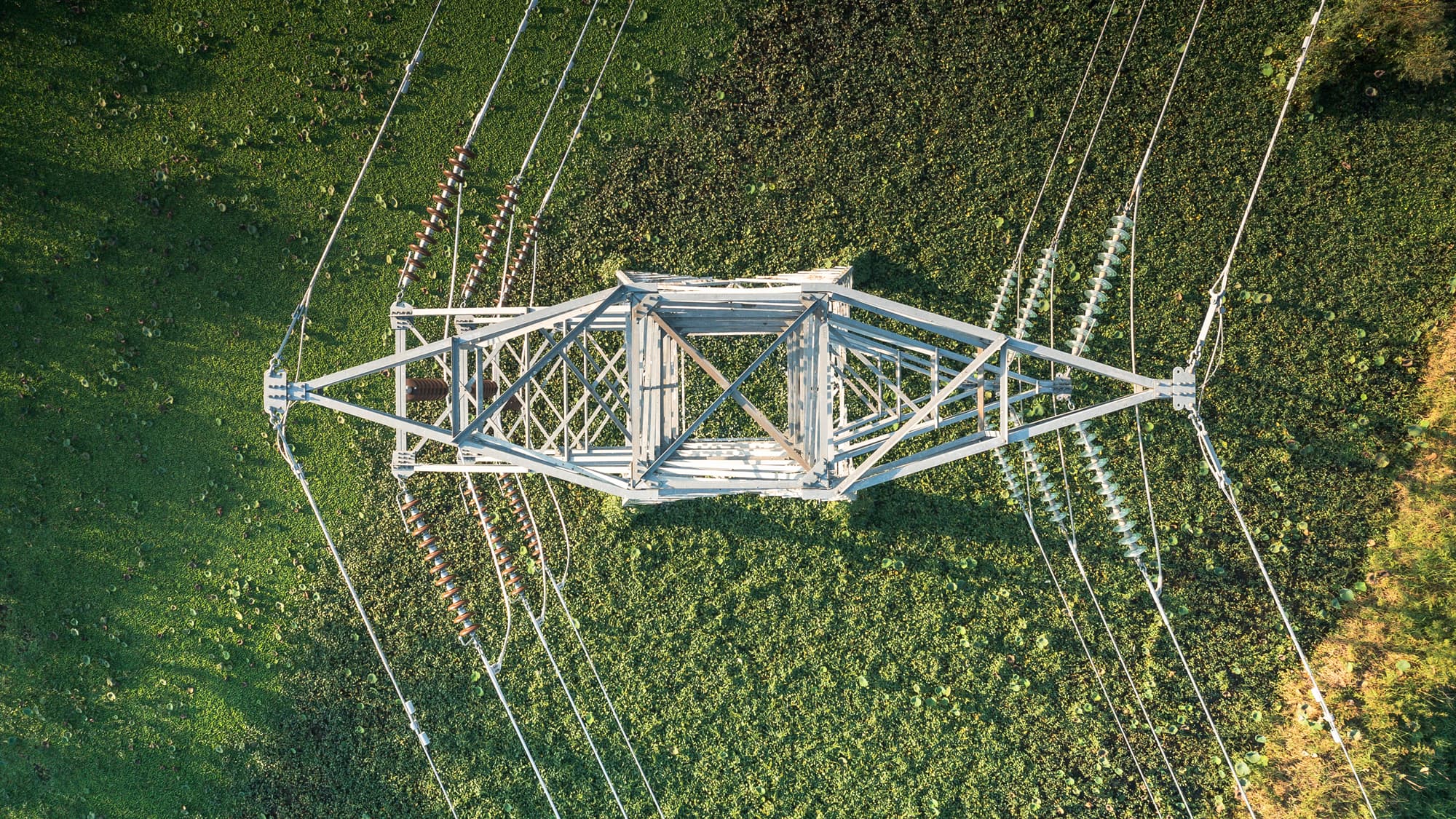 Resultados e apresentações REN