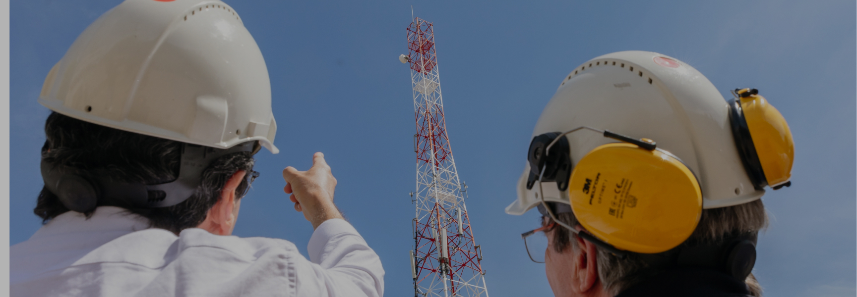 REN consultancy in electricity, natural gas and telecommunications