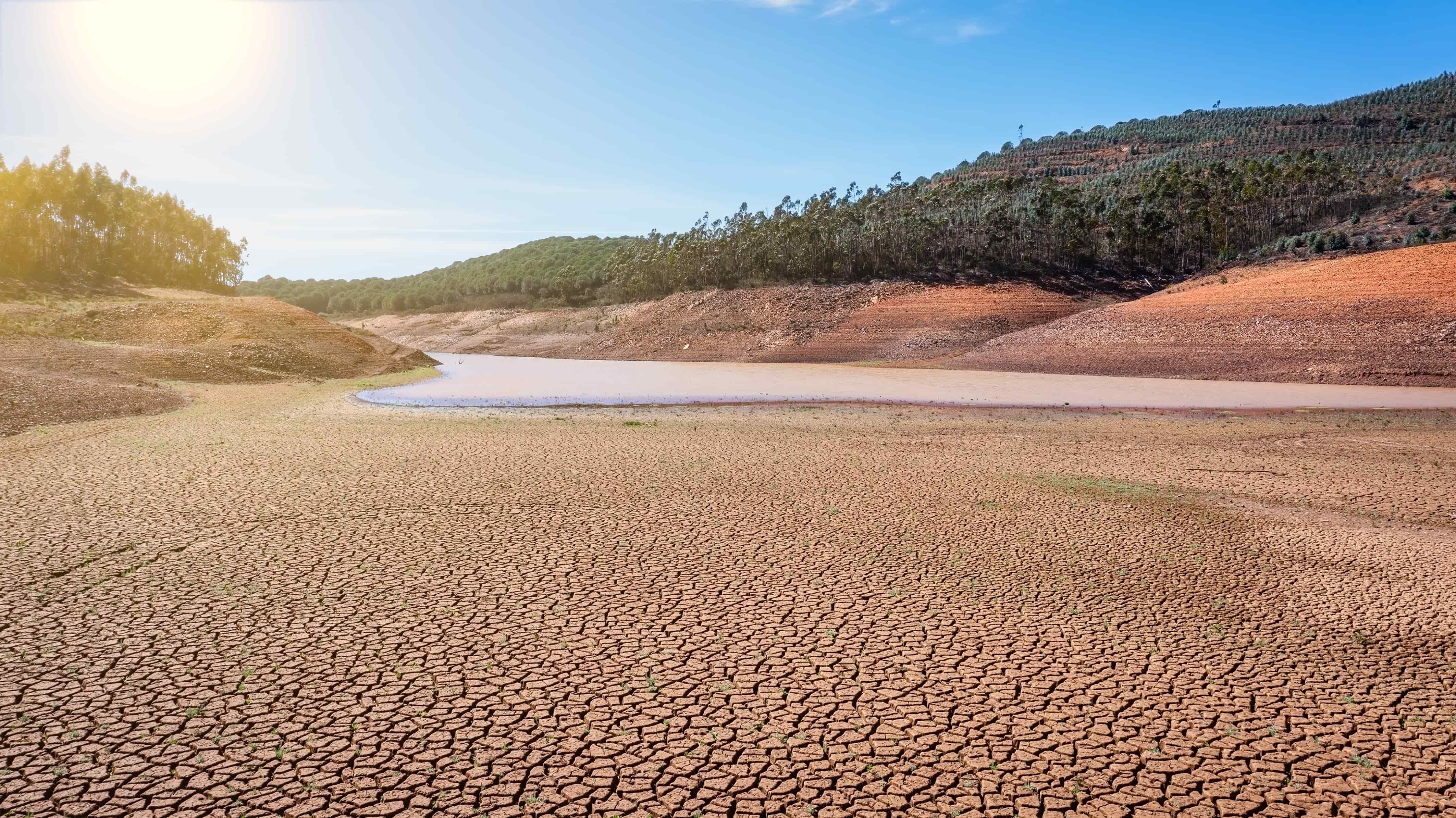 Alterações Climáticas Transição Energética E Descarbonização