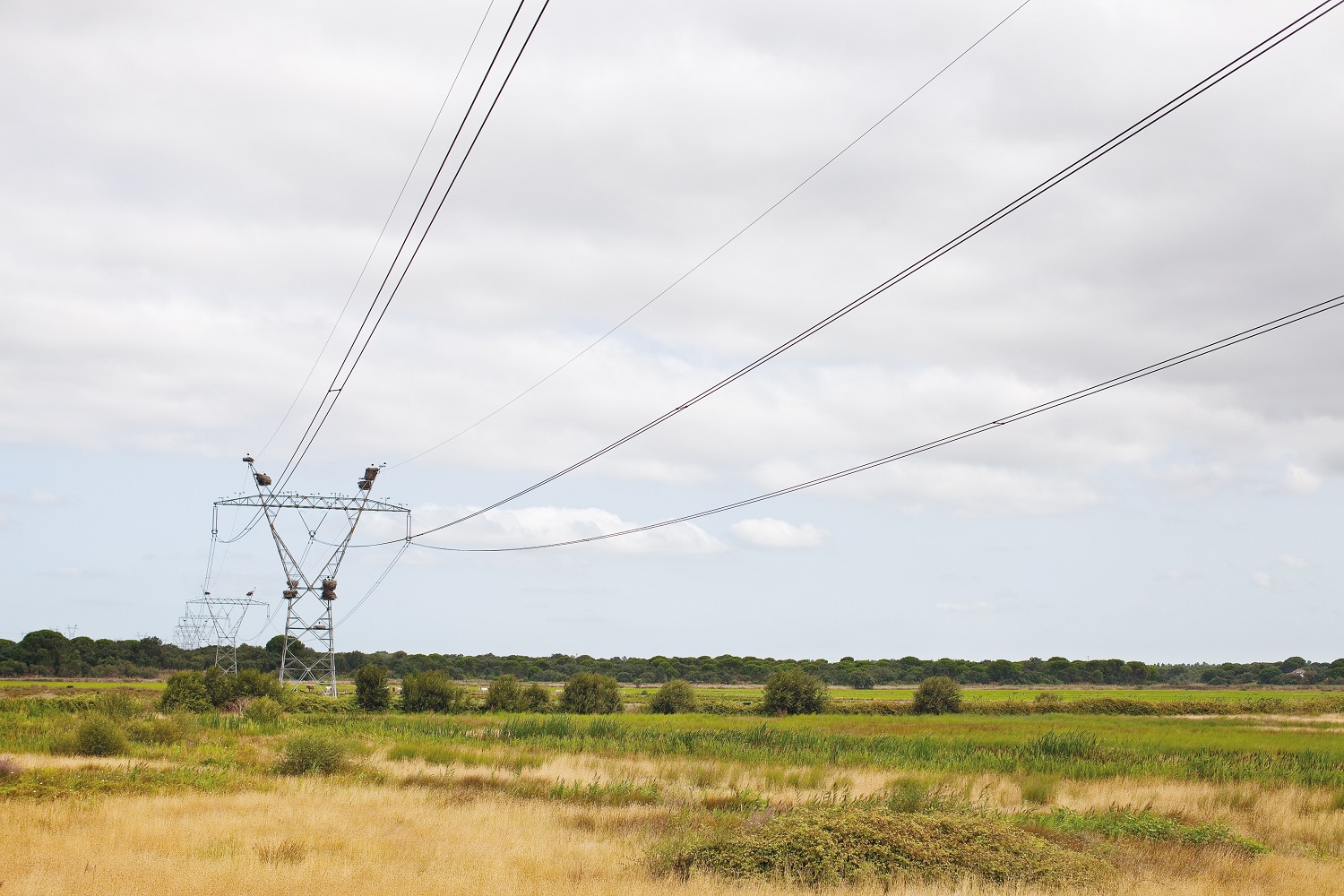 REN | Energy and Infrastructures