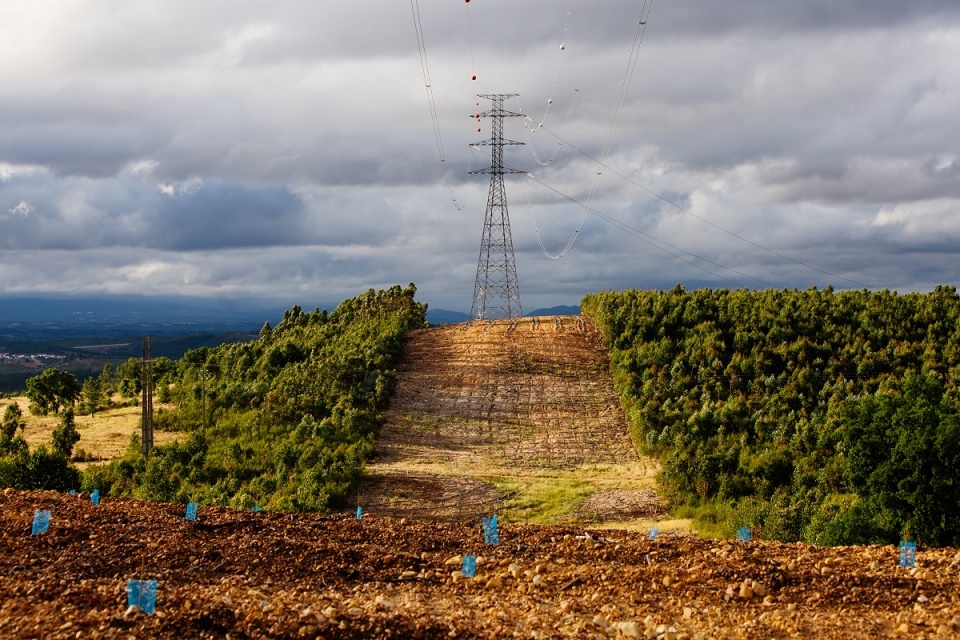 Indicadores de Sustentabilidade da REN melhoram em 2022