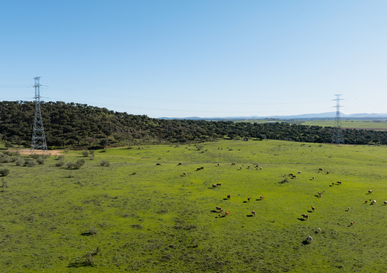 Eixo Ferreira do Alentejo - Vale Pereiro - Sines, a 400kV