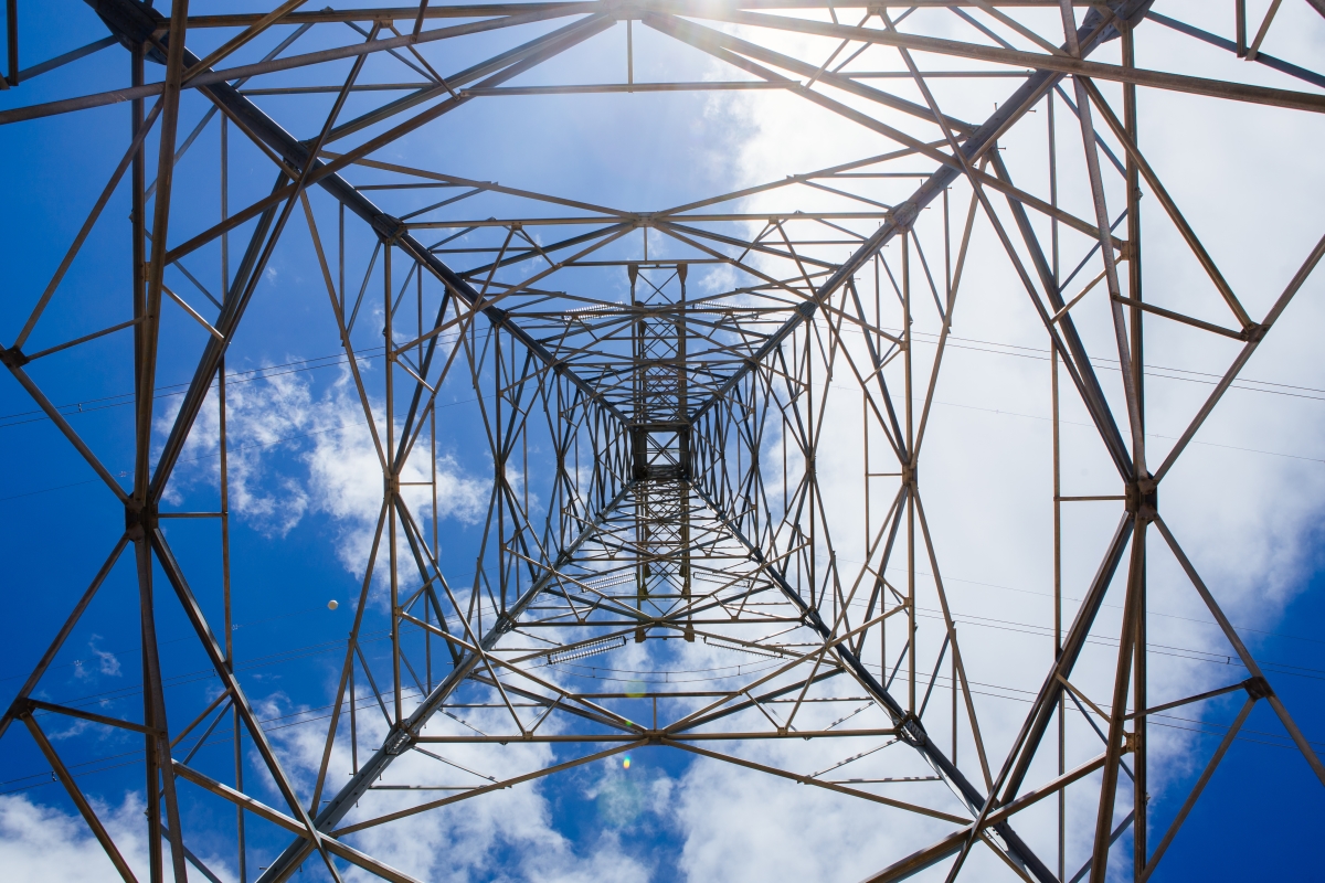 RENTELECOM e EllaLink fecham acordo de fibras escuras para promover ...