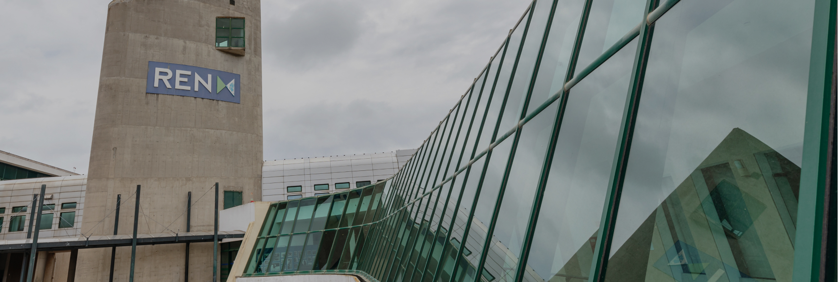 Newsletter REN